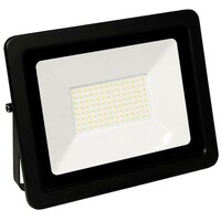 SPECTRA LRSMDA5-100 6500K 100W RASVETA